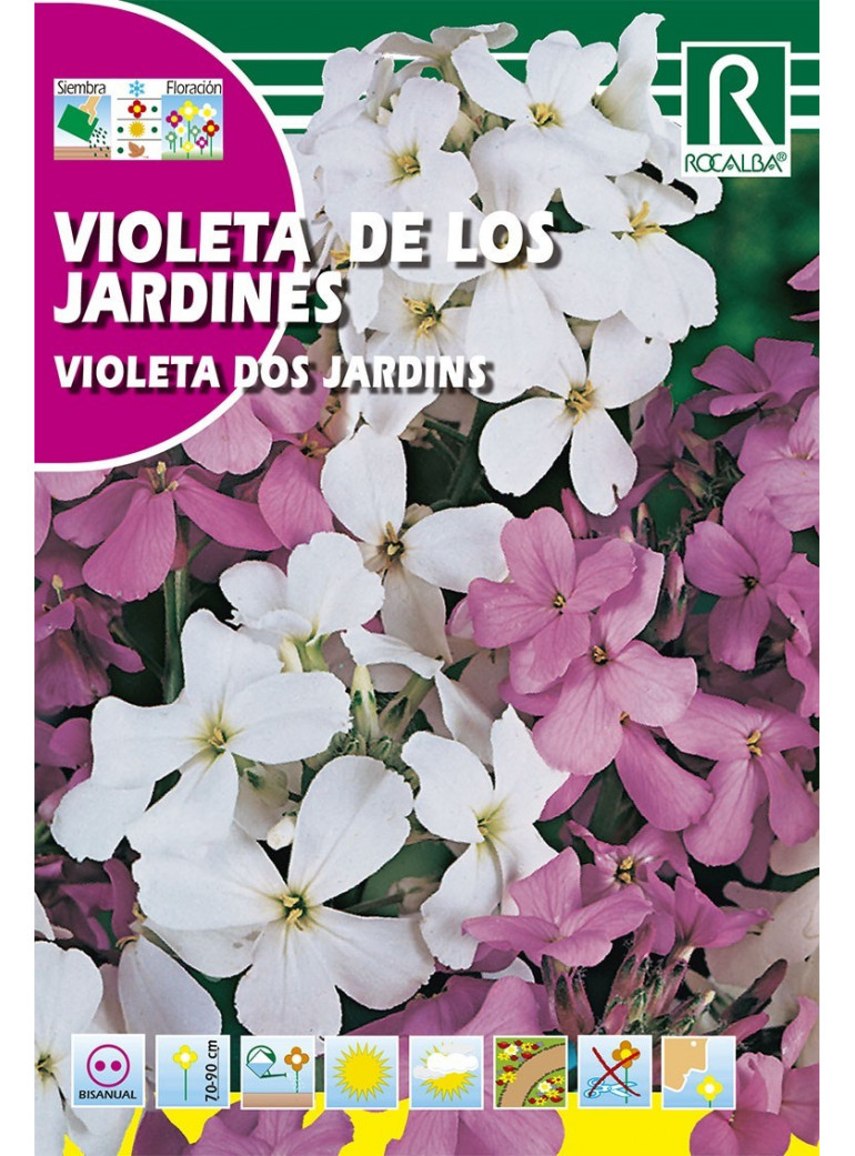 Semilla VIOLETA DE LOS JARDINES, VARIADA
